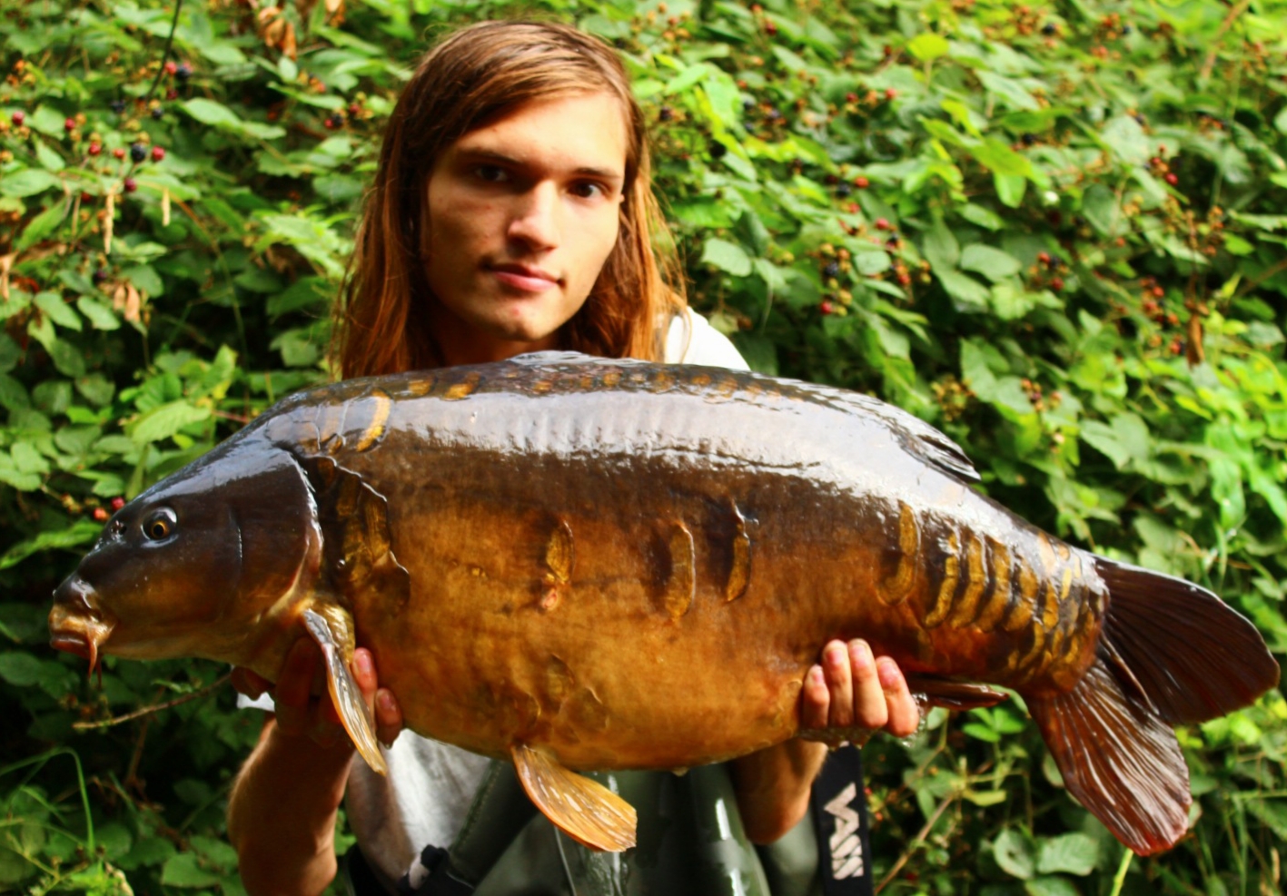 apple slice | Total Carp